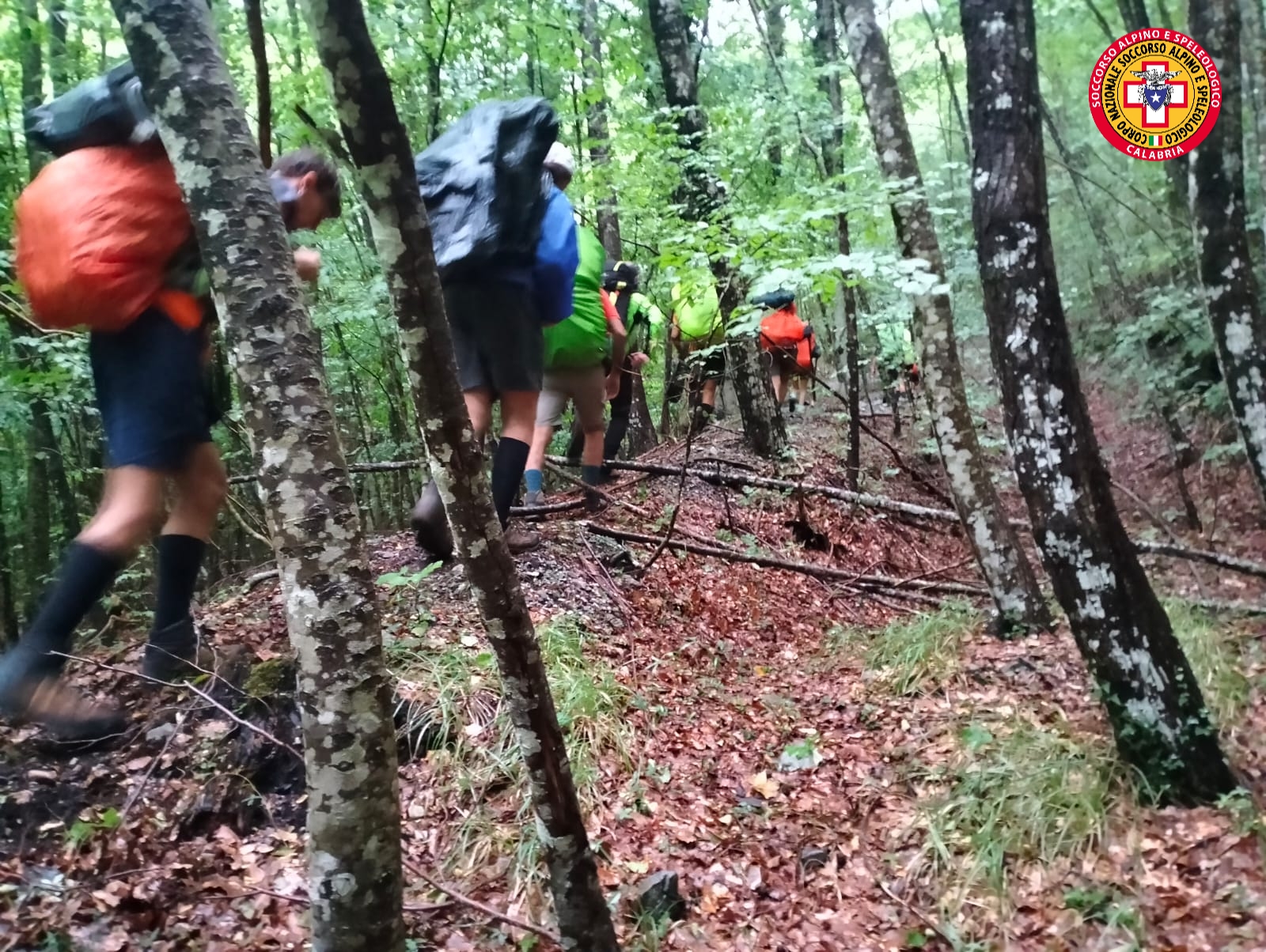 Gruppo scout disperso nel parco del Pollino: recuperato dal Soccorso ...